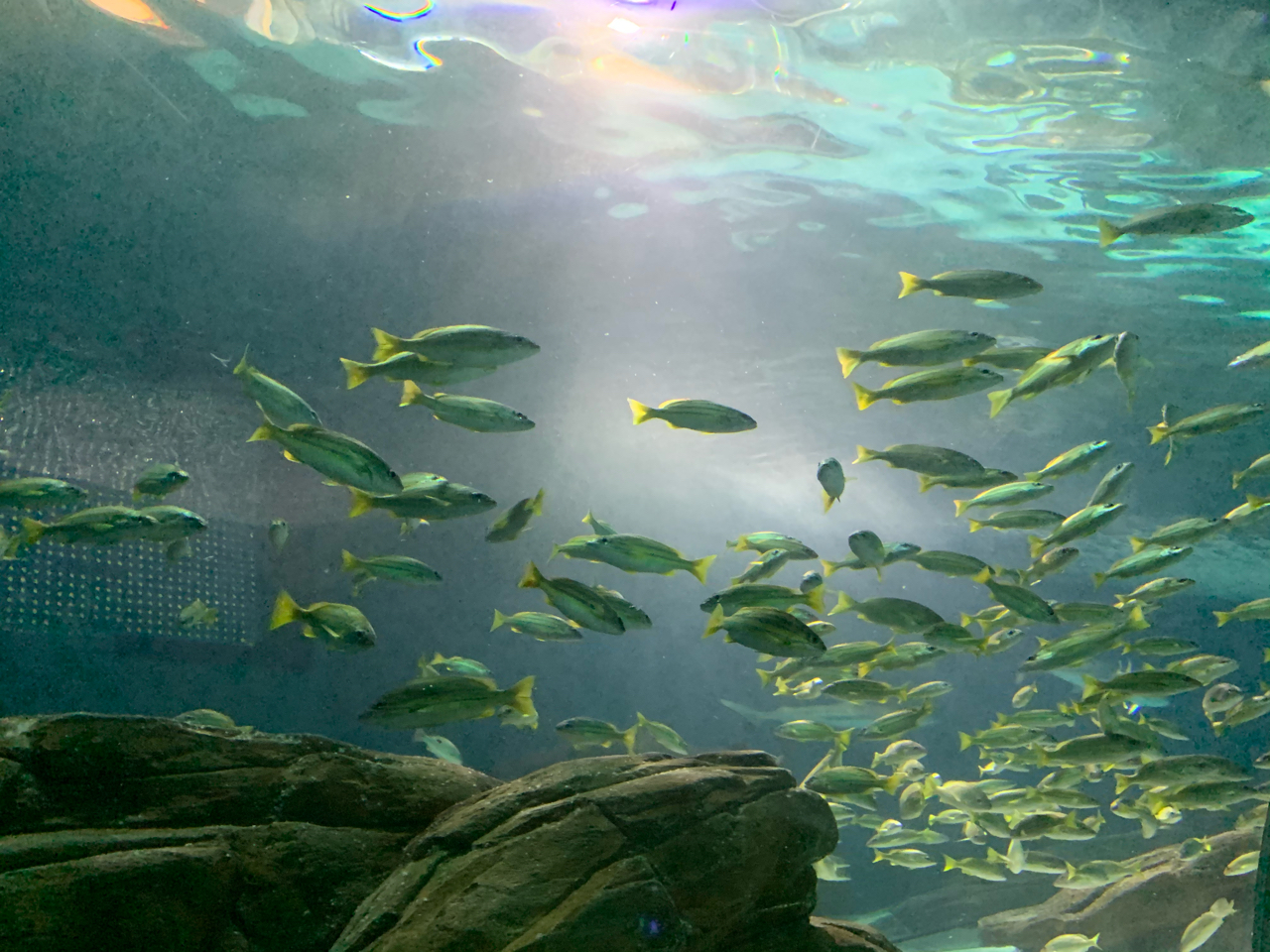 [狂暴]重新发帖，跪求狂暴战暴怒buff的wa，谢谢大佬，换个好看的图 NGA玩家社区