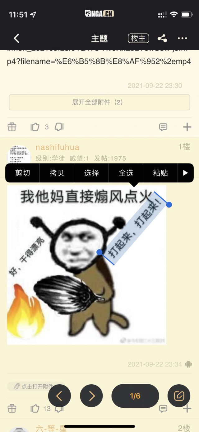 关于iOS15的文字识别，这个是我没想到的 NGA玩家社区