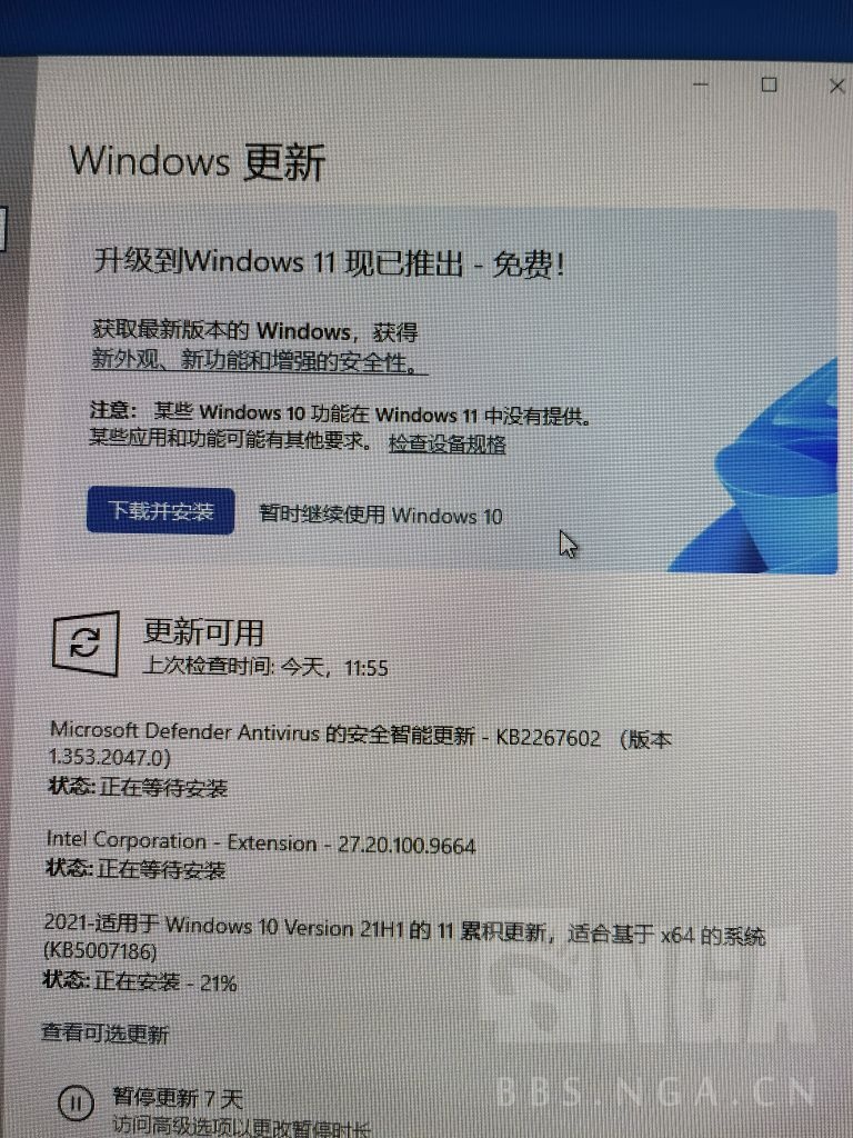 现在win11怎样了呢 NGA玩家社区