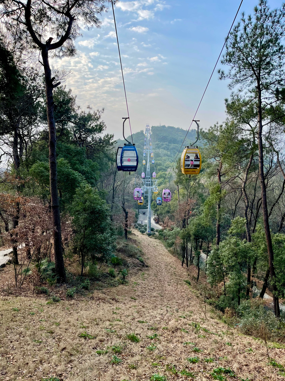 苹果13Pm拍照还不如8 NGA玩家社区