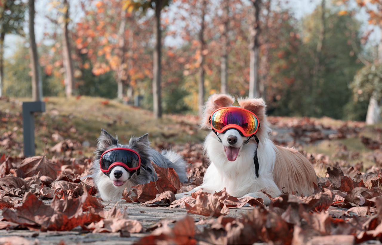 z口70200评价如何？ NGA玩家社区