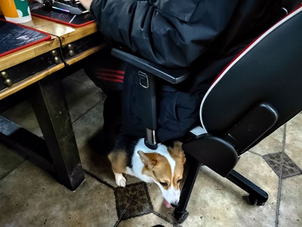 真羡慕有些dps NGA玩家社区