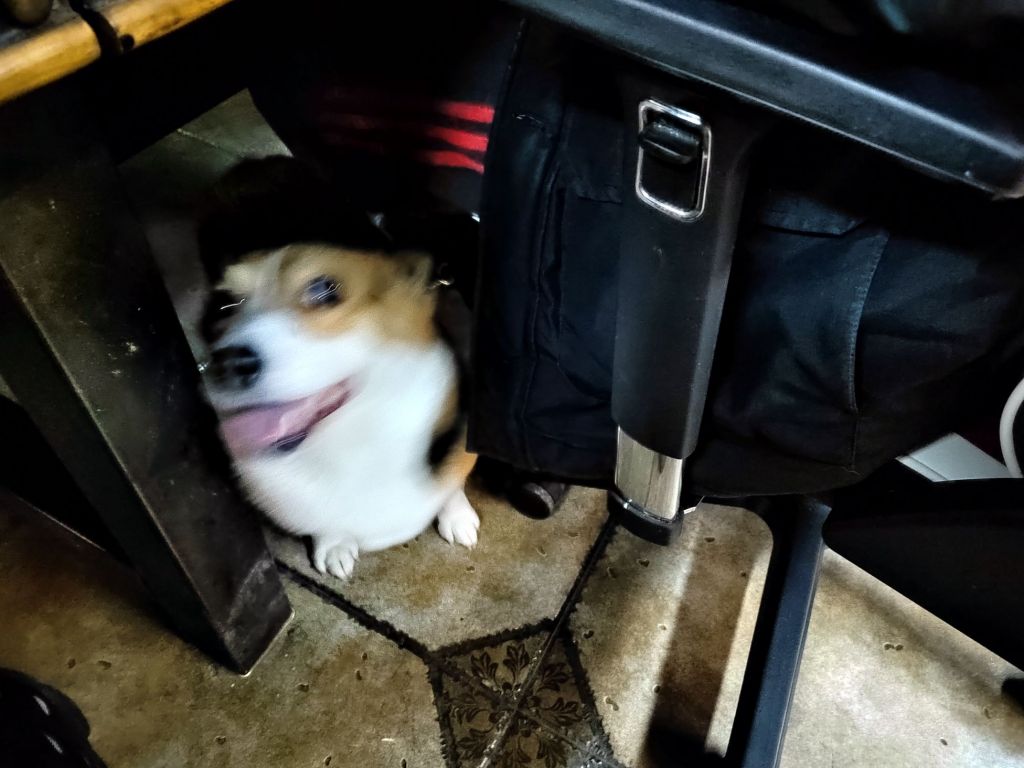 真羡慕有些dps NGA玩家社区