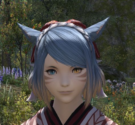 [安科] [安价]FF14的马薄荷猫娘来到特雷森后会发生什么？(安价中) NGA玩家社区