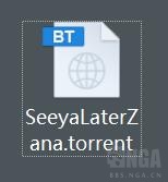 [游戏杂谈] 后会有期，札那 178