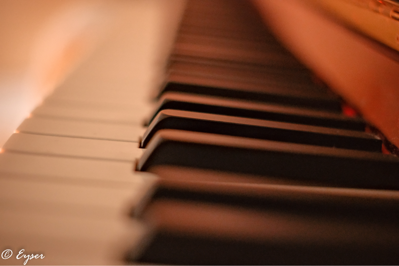 从zfc看到xs10到s5到z5到gr3到黑卡7 NGA玩家社区