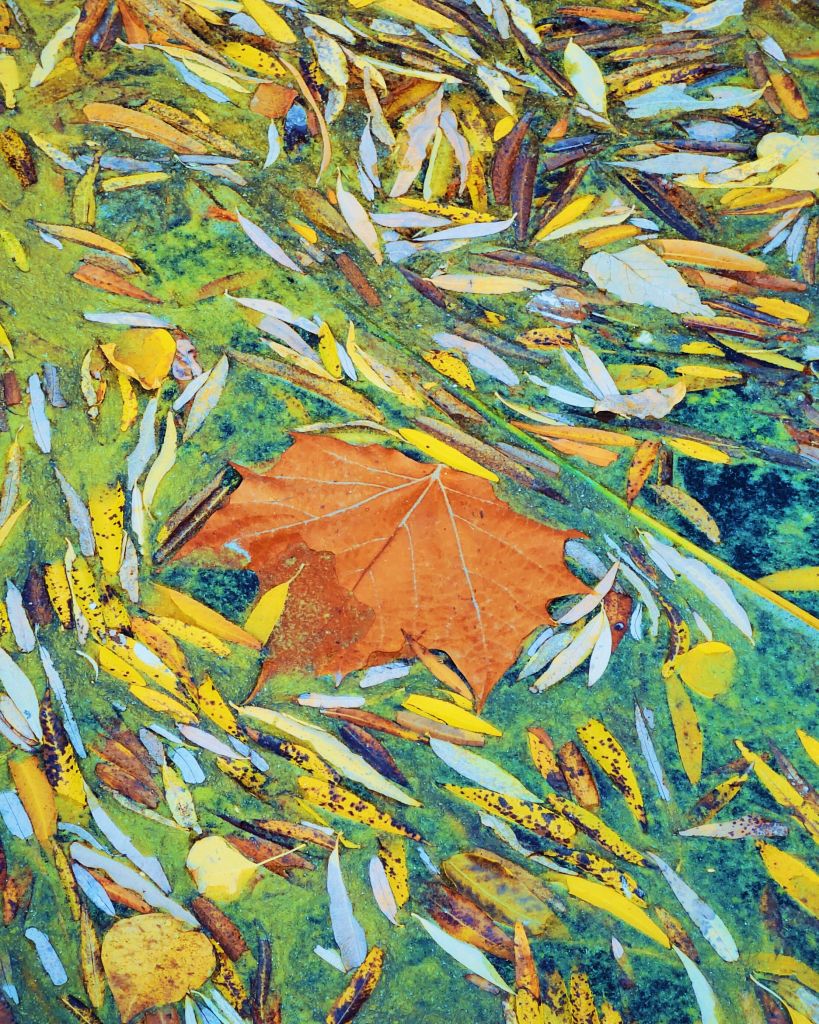 请教一下理光gr系列，更新：买了gr3x NGA玩家社区