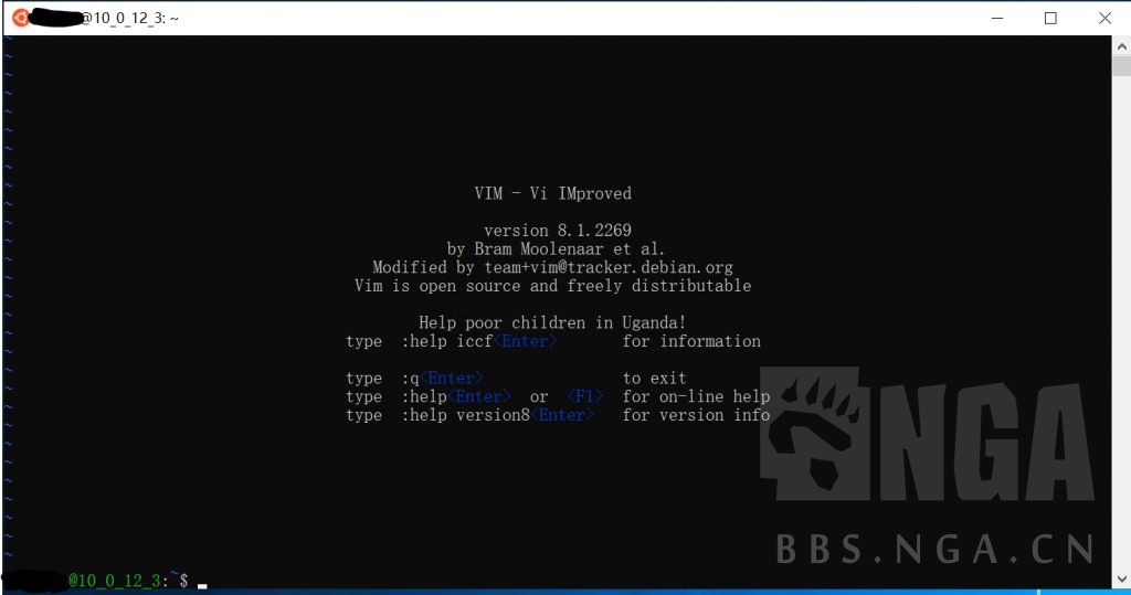 [求助] [Linux]Windows下的Linux子系统打开vim时候不显示东西 NGA玩家社区