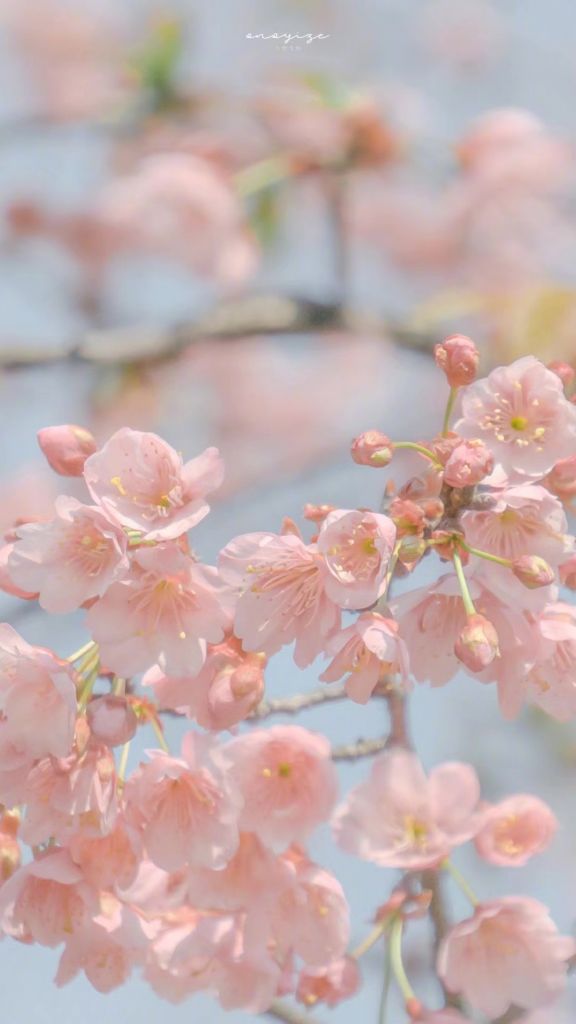 [PVE][大秘境]5骑士勇闯17伤逝剧场-惩戒骑视角 NGA玩家社区