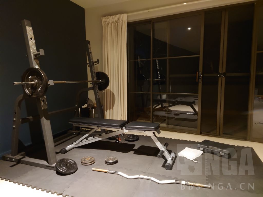 [新手日常] 请问不上大重量(>120kg)的话，是不是没必要用奥杆呀？ NGA玩家社区