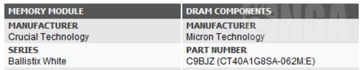 jd自营随便买了2根镁光铂胜3200 16G的颗粒是C9BJZ(台风检测软件) NGA玩家社区