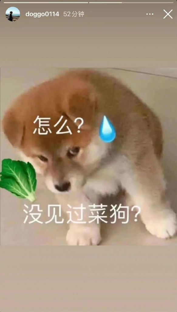 [本赛区赛事] 人类的悲欢并不相通，今天doggo在二队赢了比赛很快乐 178