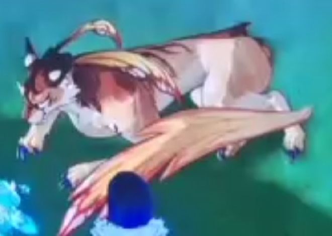 这素什么动物，好furry NGA玩家社区