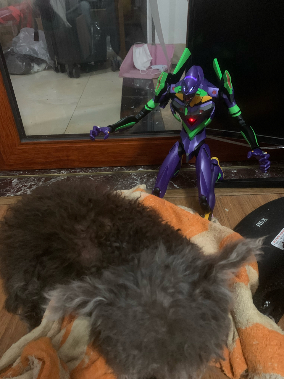 [新闻资讯] MENG EVA2号机(悦色版) NGA玩家社区