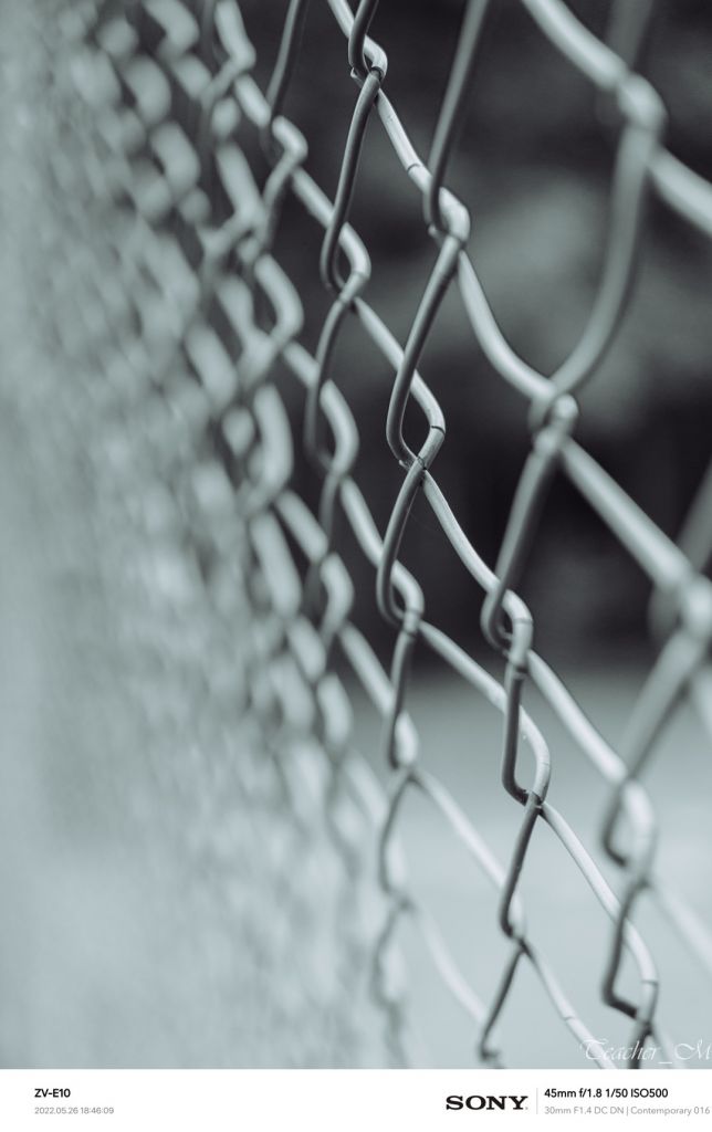 zve10入门怎么样呢 NGA玩家社区