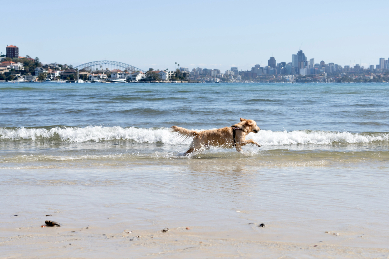 [坐标凸凹]a7r4和70200 NGA玩家社区