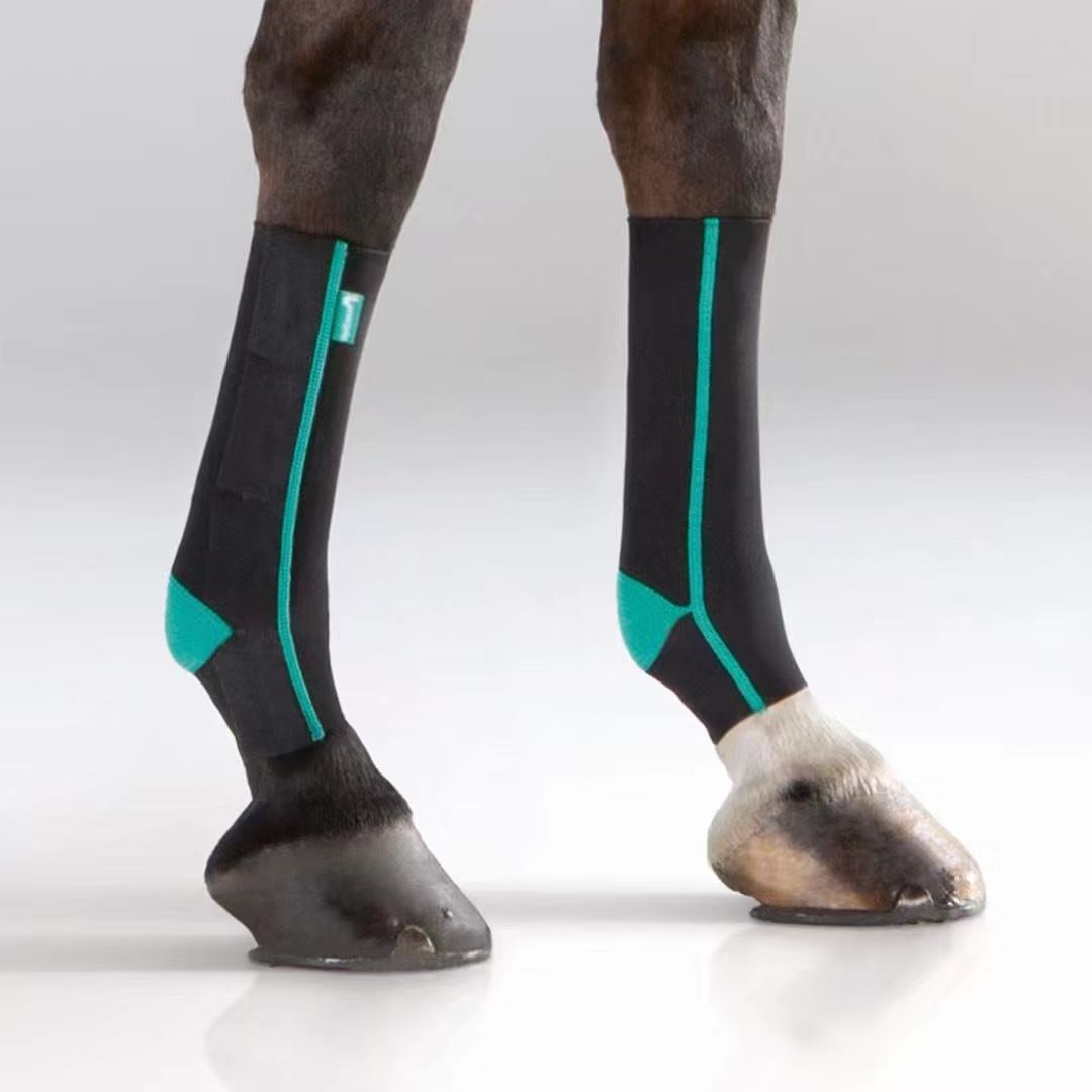 马娘的jio图有吗？ NGA玩家社区