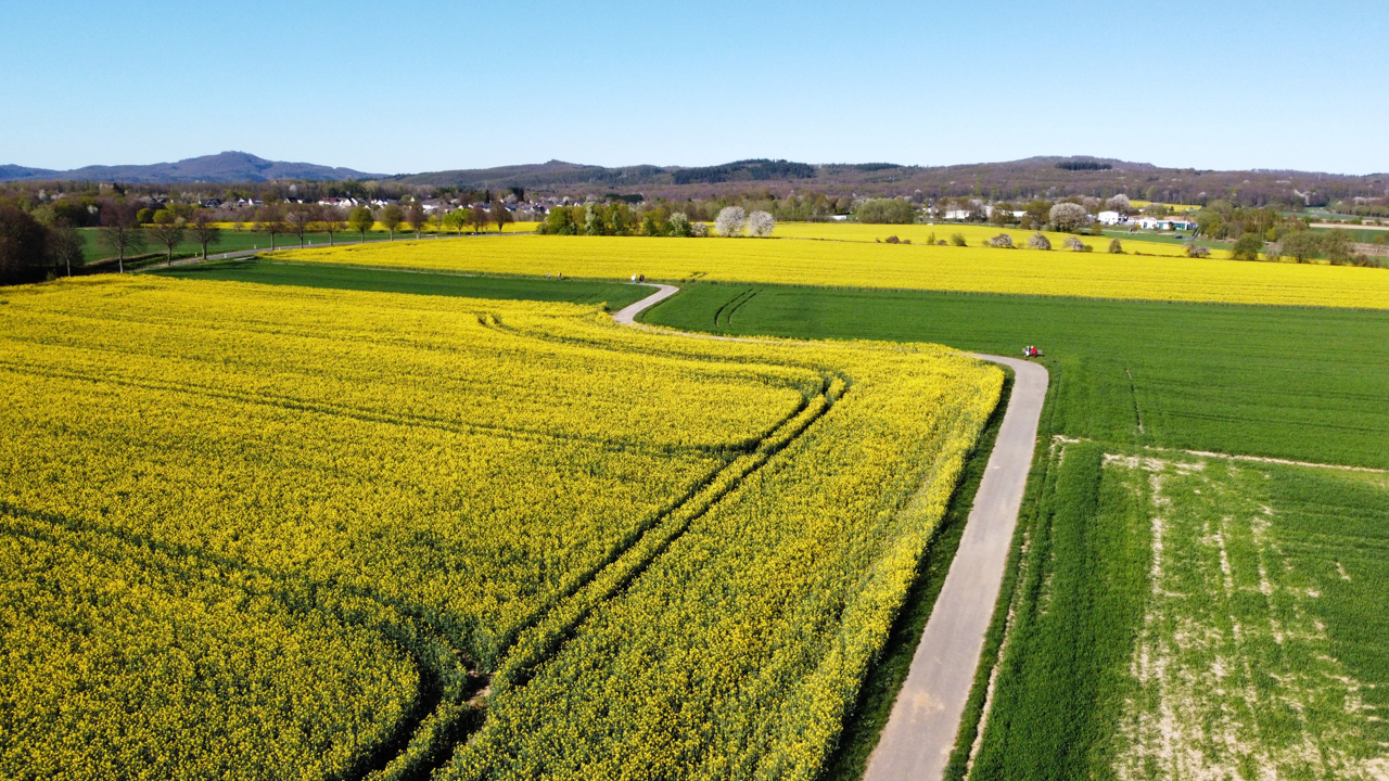 想入无人机avata和mini3pro哪个适合新手 NGA玩家社区