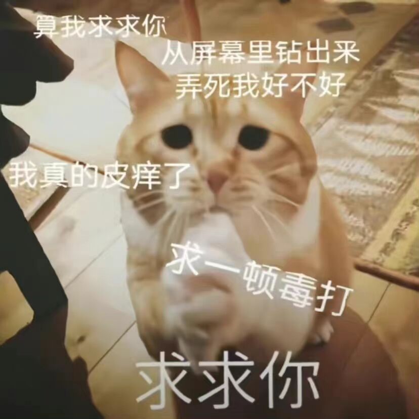 猪区龙诗社畜养老队，p3八人塔进度，7=1非黑魔d4 NGA玩家社区