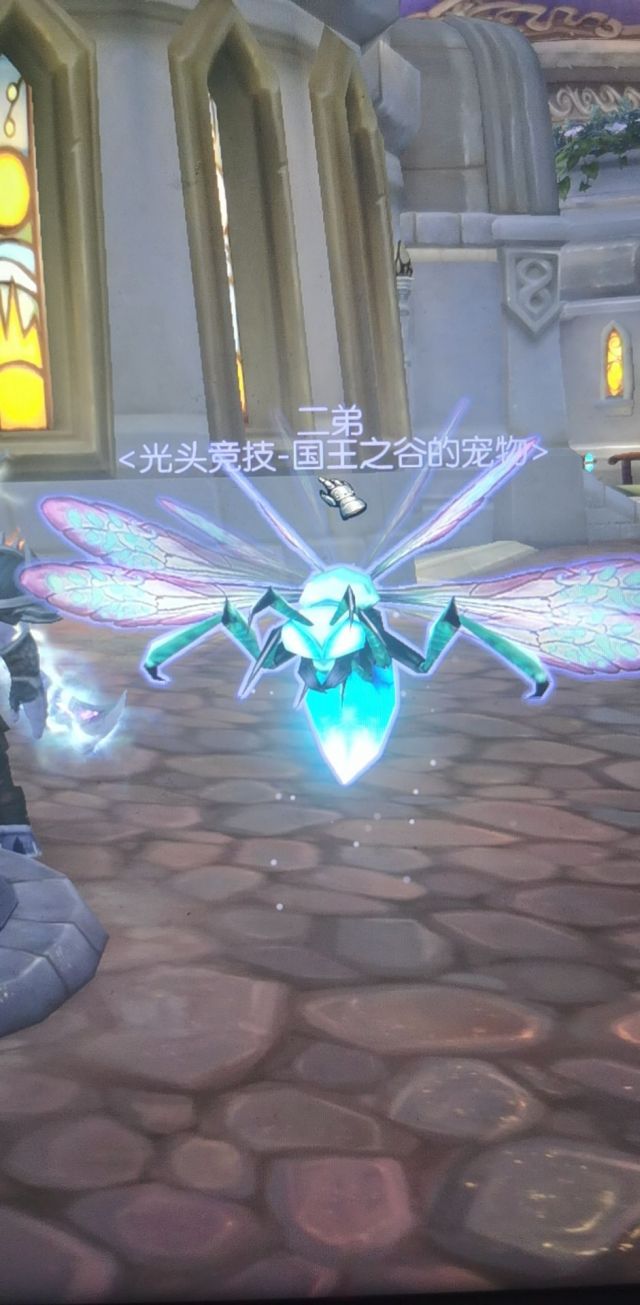 这个宝宝哪里有抓啊，看上去像蜜蜂，好帅啊 NGA玩家社区