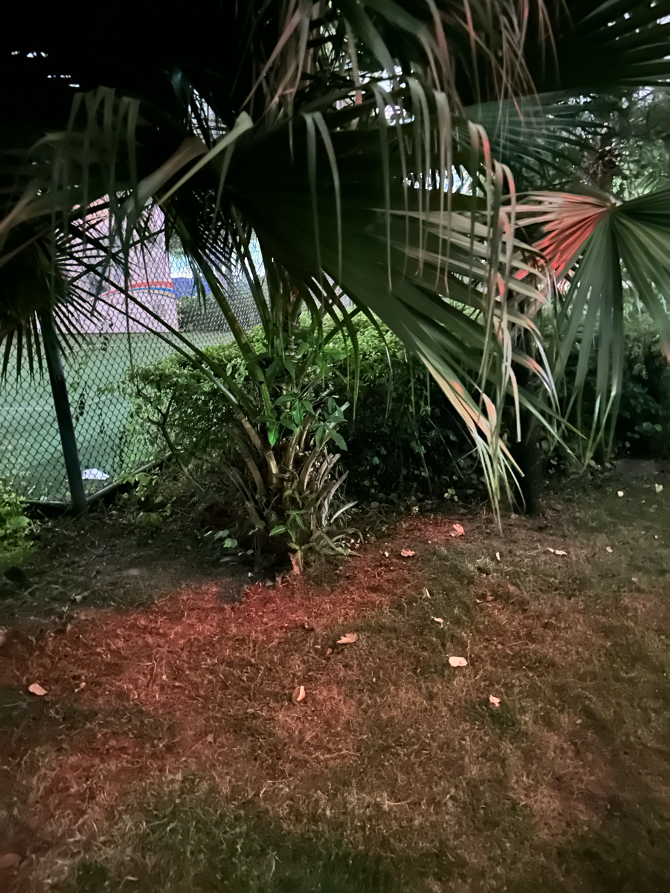 14pm这夜拍有点夸张啊 NGA玩家社区