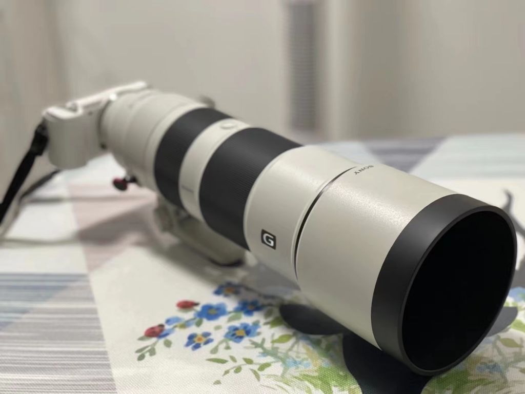 [硕大的肌肉激情的拍摄]适马150600与A7c上机比例图解 NGA玩家社区