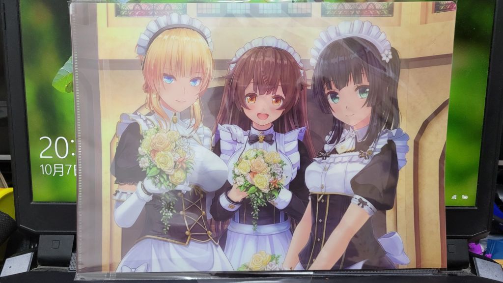 给坛友们开箱一个3d定制女仆2的dlsite特典 NGA玩家社区