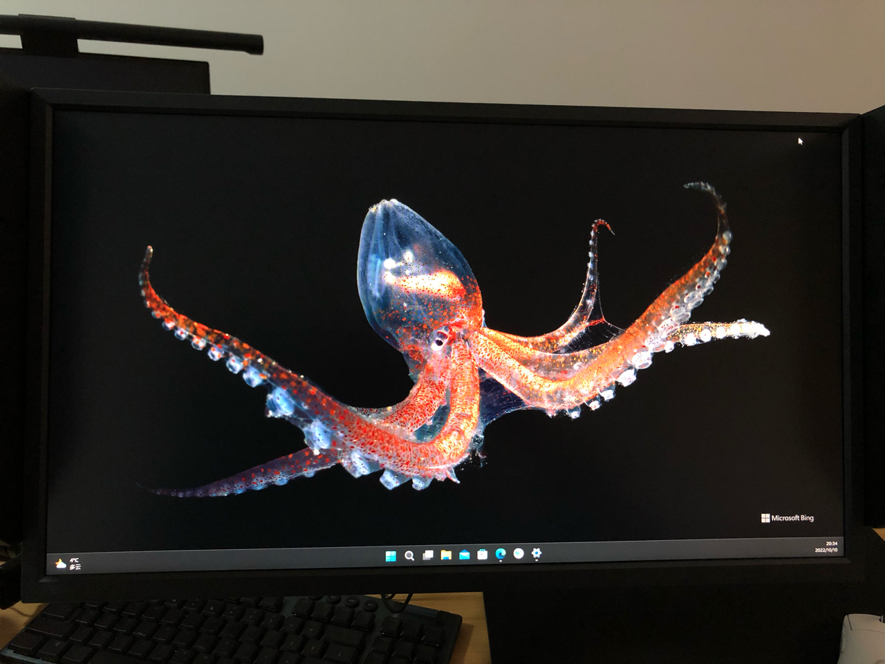 卓威XL2566k显示色彩最像ips的tn NGA玩家社区