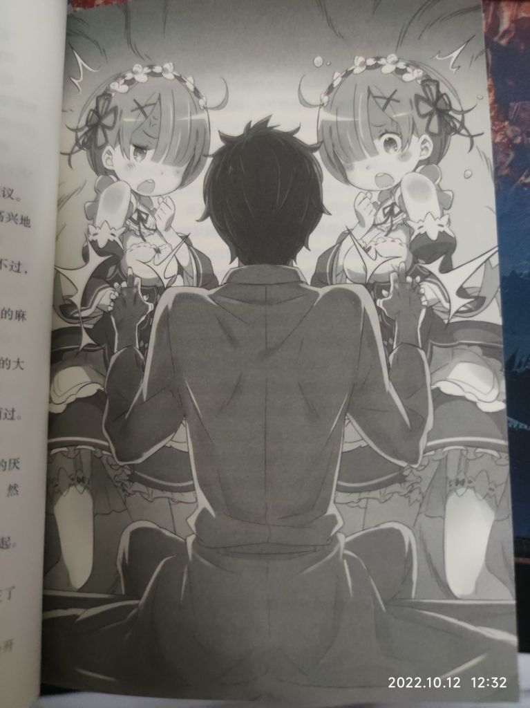 [Re0水]TV看完跑回来看小说，有的插画表现的很可爱居然没有镜头 178