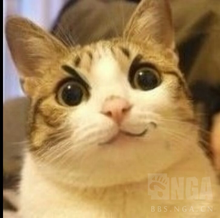 [已结束][狗区] [招募] [豆豆柴区] [豆豆柴] 零式四层开荒固定队招募却st、d1、d3、d4 NGA玩家社区