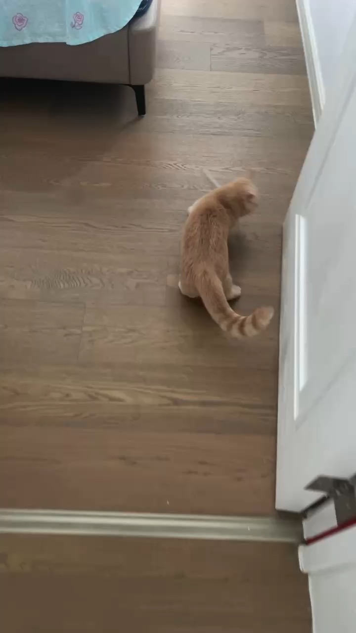 与吸管大战300回合 NGA玩家社区