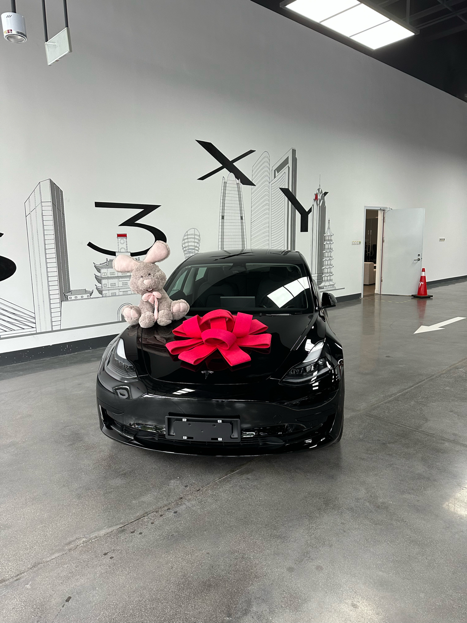 [车版专栏-提车作业]特斯拉Model 3提车作业 NGA玩家社区