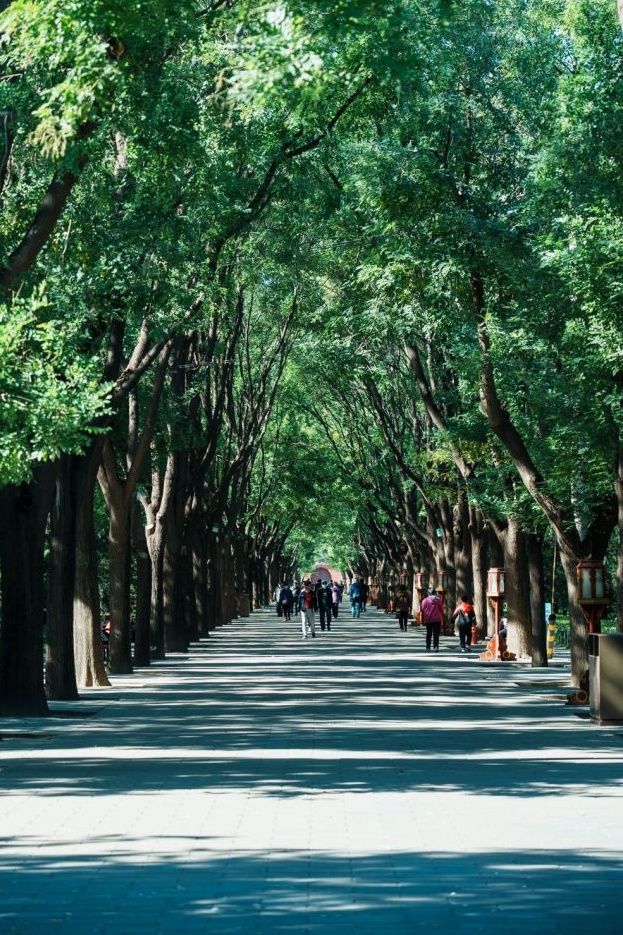 a7m4+24105 新手拿到相机一个月 想求一波点评 NGA玩家社区