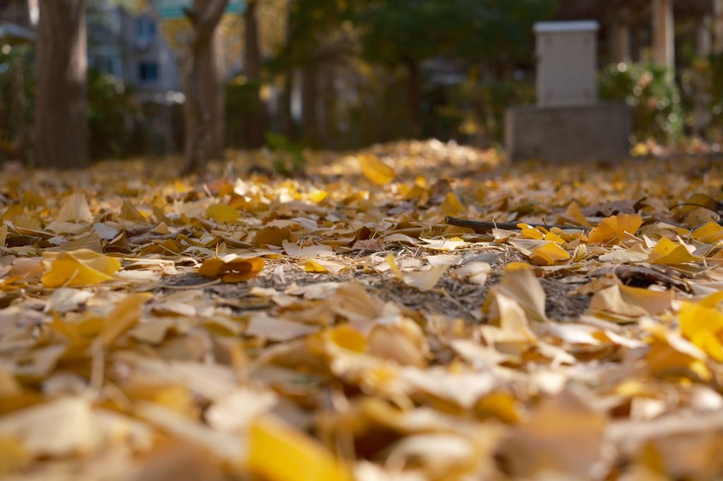 [其他]纯拍照而论富士4000w像素的提升大嘛 NGA玩家社区