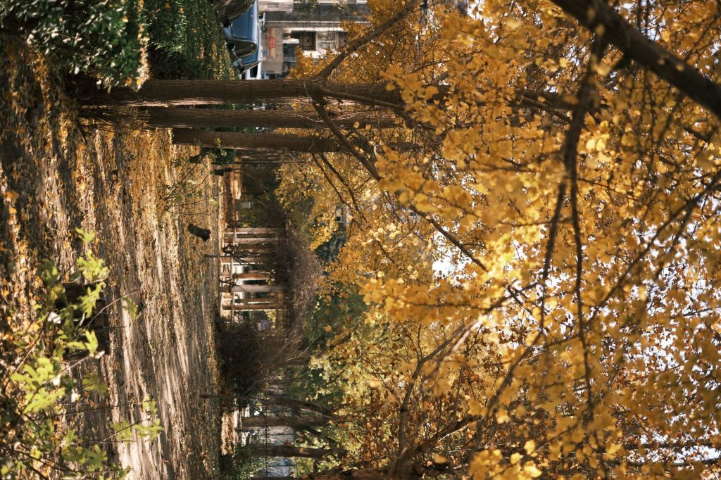 [其他]纯拍照而论富士4000w像素的提升大嘛 NGA玩家社区