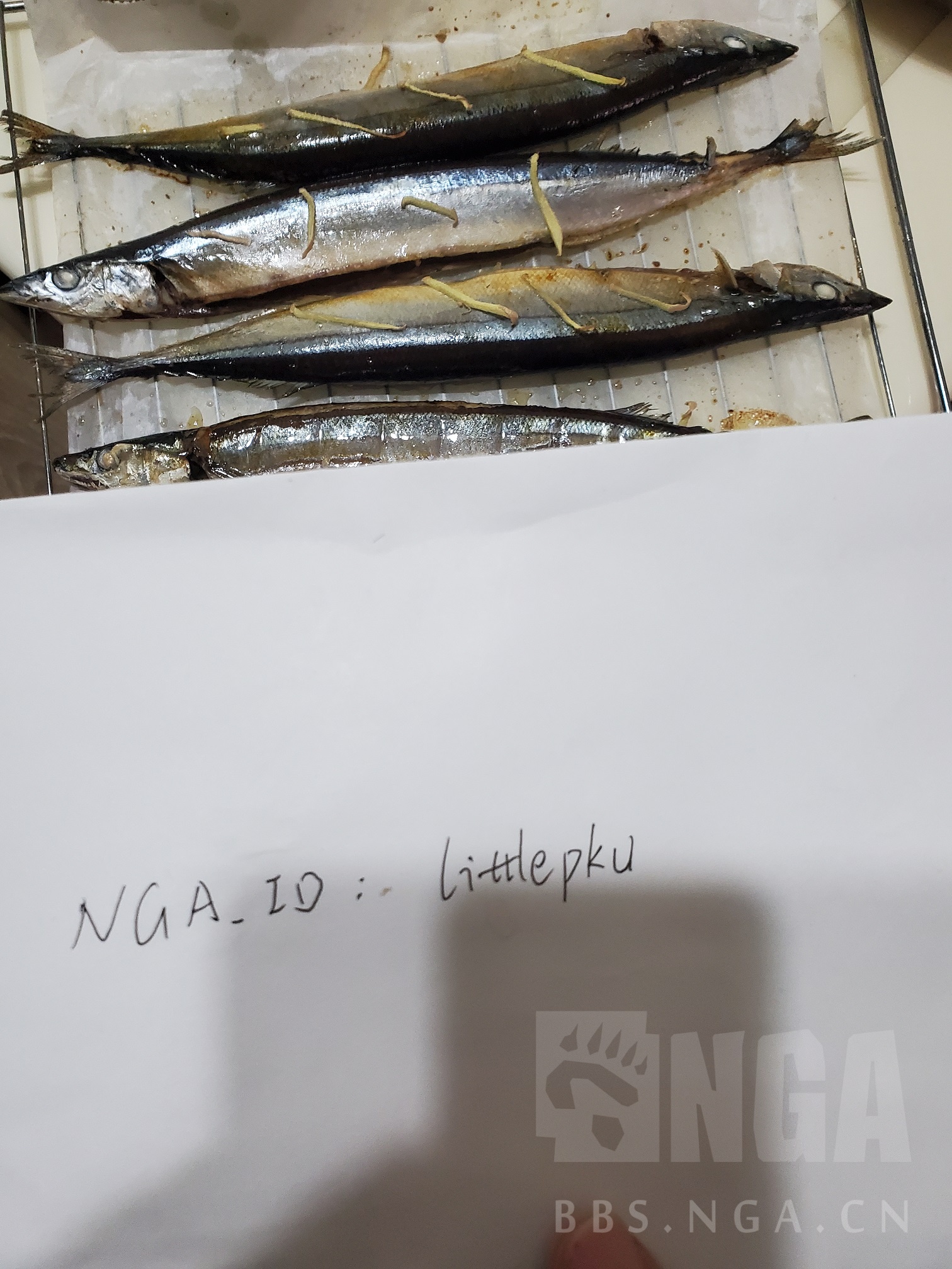 [舰colle] 2022年秋季论坛活动——秋刀鱼之味！统计贴(12月6日上午10点截止) 178