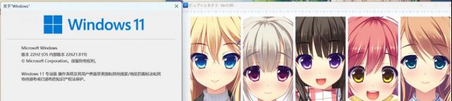 求助，win11打不开galgame怎么弄？ 178