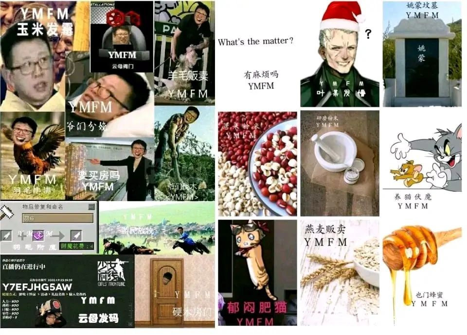 [小瓜]正面扬名赴梦，反面云母覆灭 178