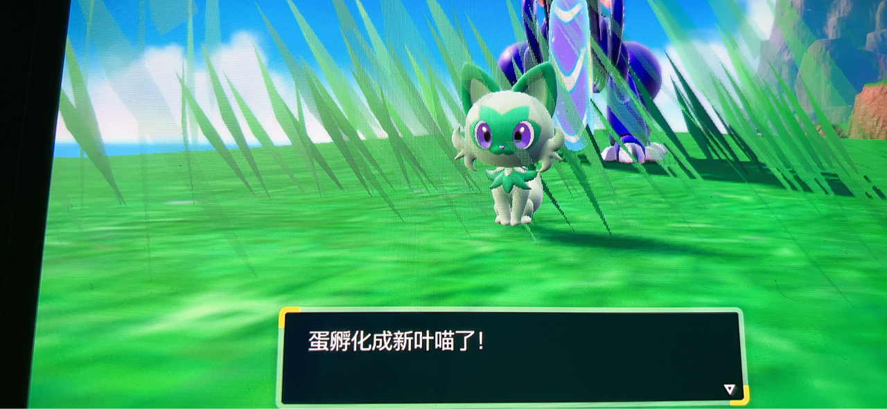 [暂停]仙仙养喵场 今天派送一些梦特5v固执御三家猫猫~ NGA玩家社区