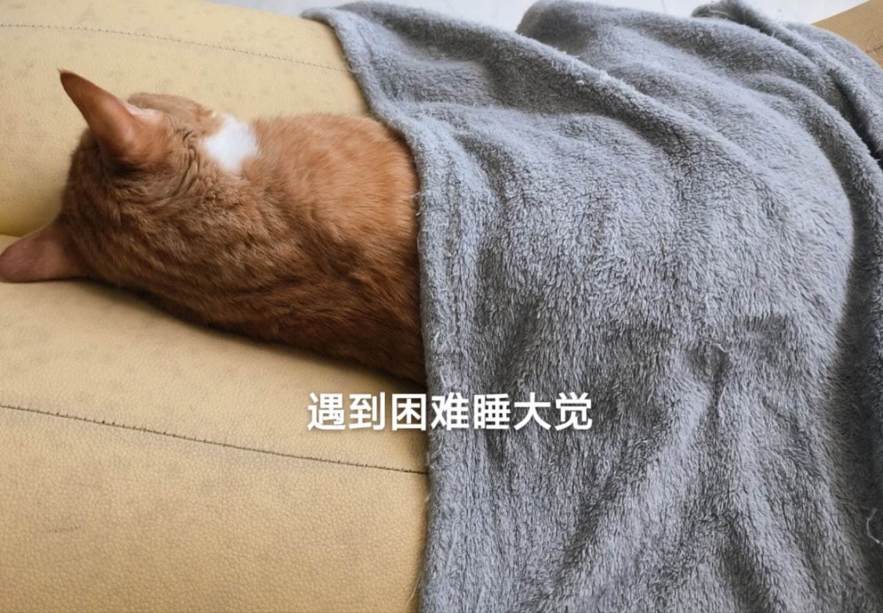 女朋友提分手，emo了 NGA玩家社区