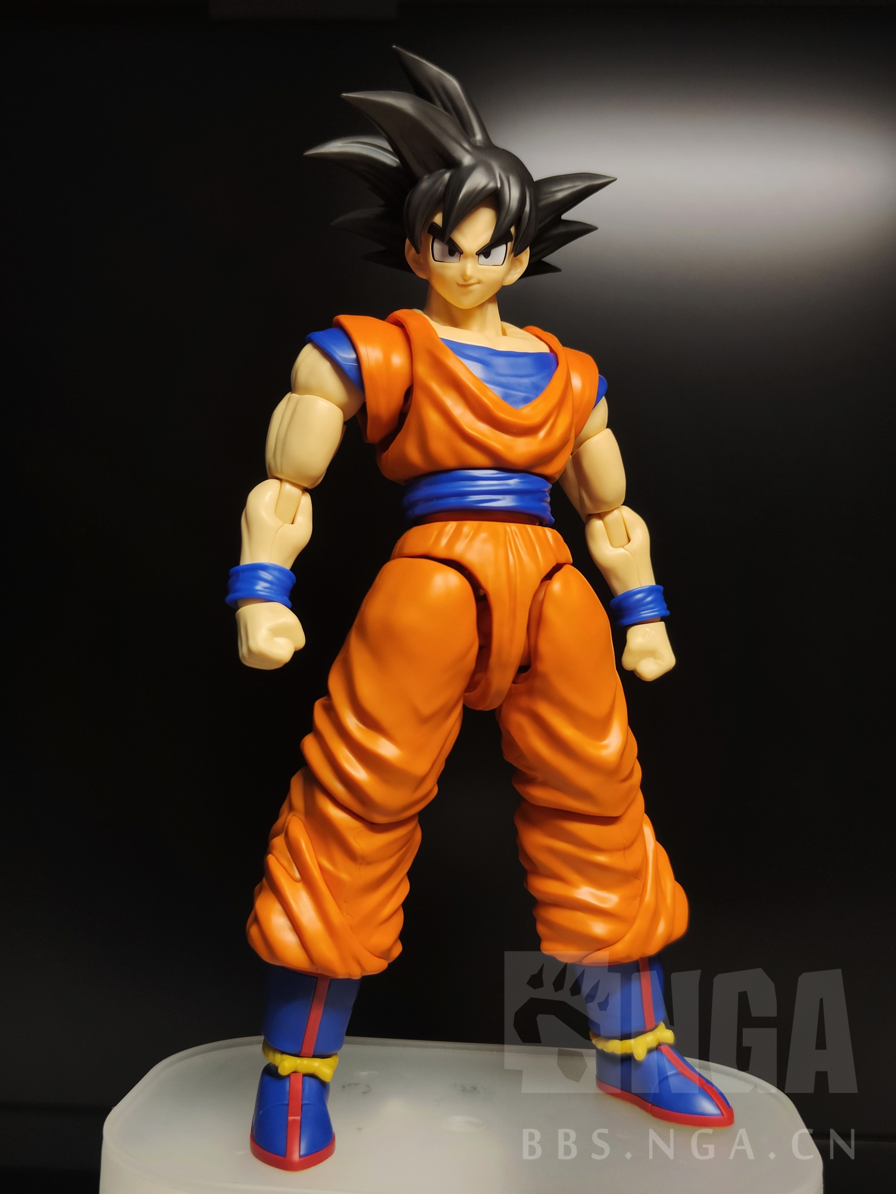 [拼装] FRS. 悟空 NGA玩家社区