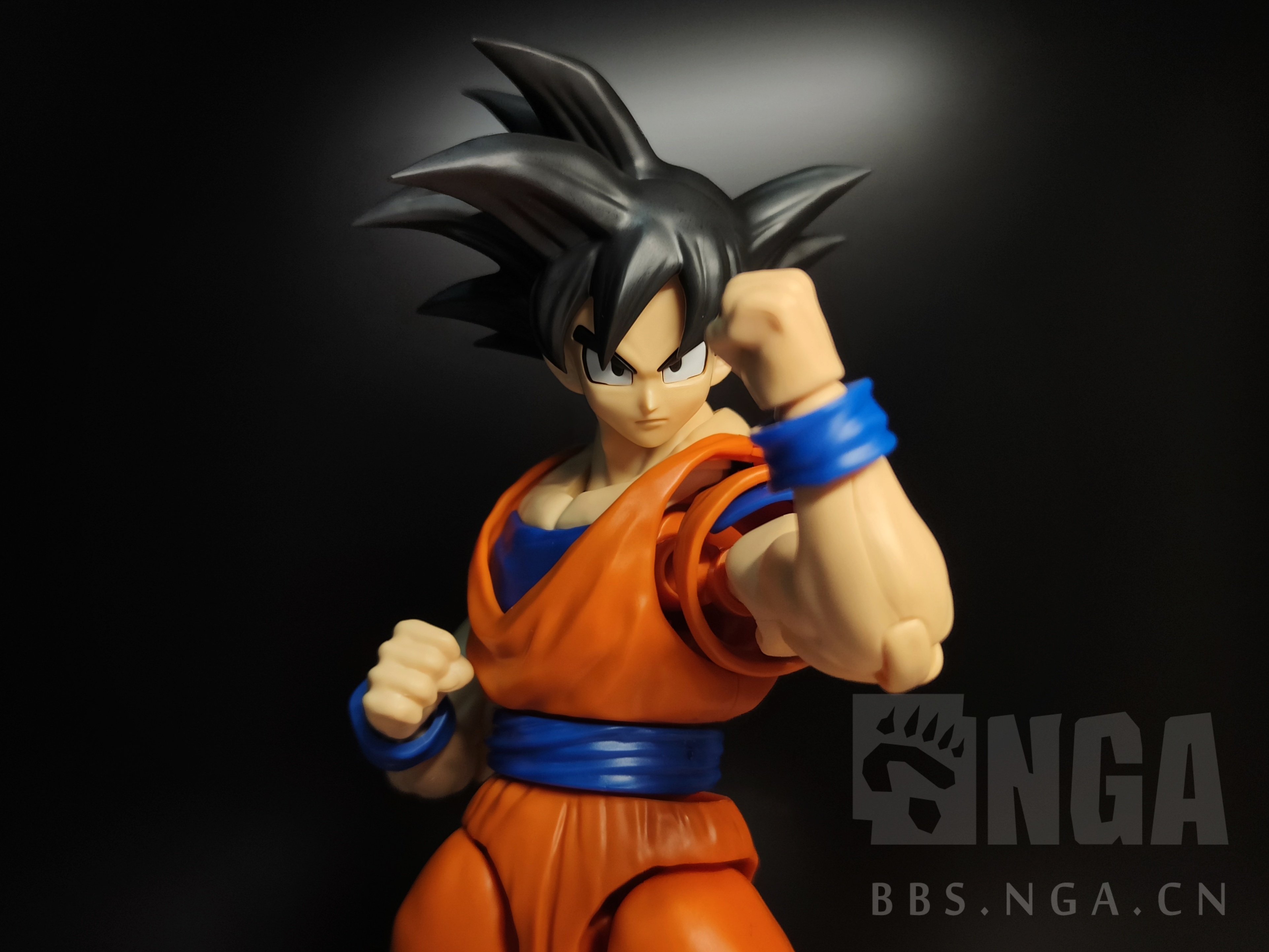 [拼装] FRS. 悟空 178