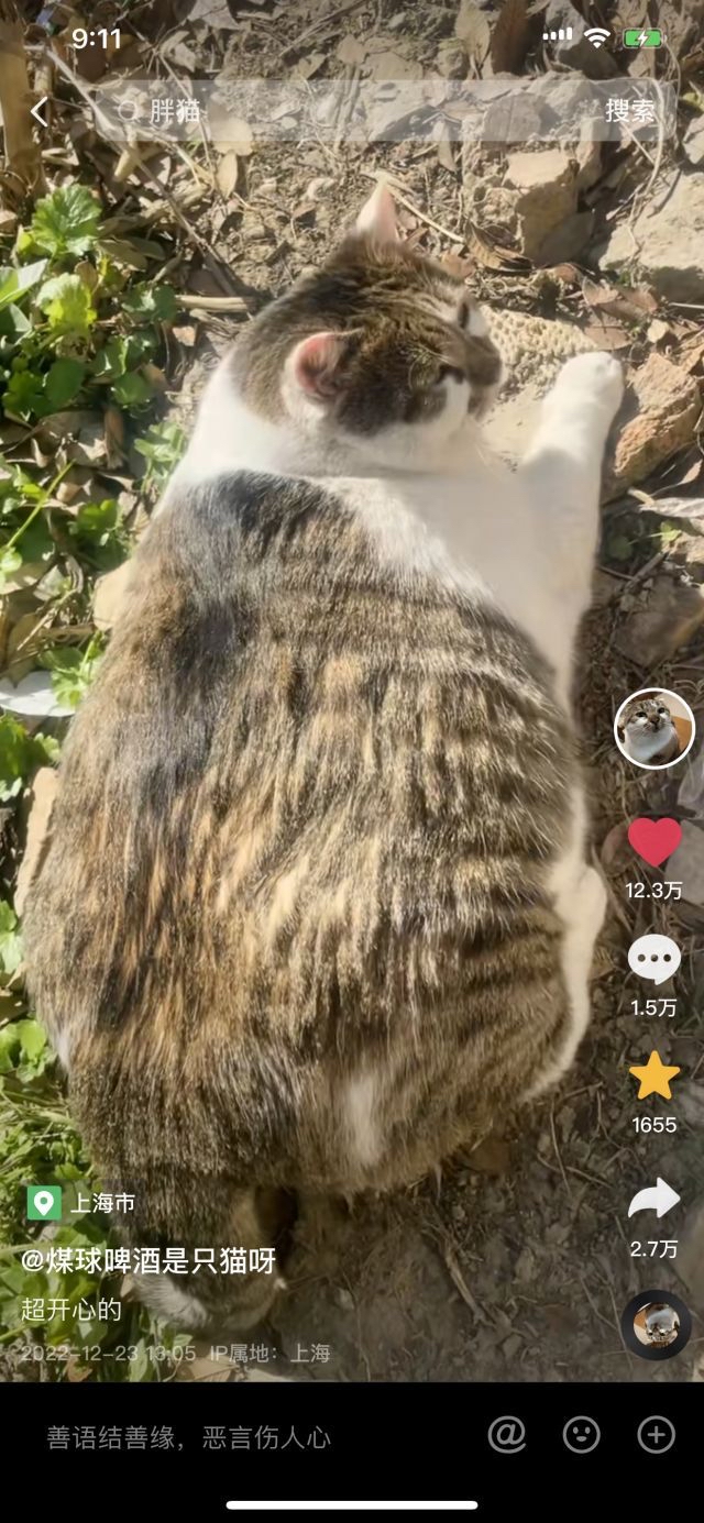 许愿看看42的jiojio(刚才发错重新发) NGA玩家社区