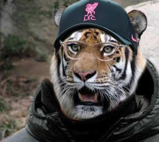 夹克波利物浦首秀xdm 178