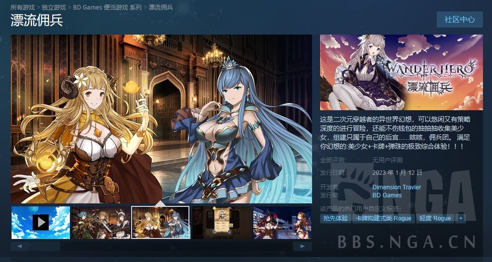 [Steam] [Roll Key]晒steam心愿单，赢异世界弹珠弹射肉鸽RPG新作《漂流佣兵》游戏Key 178