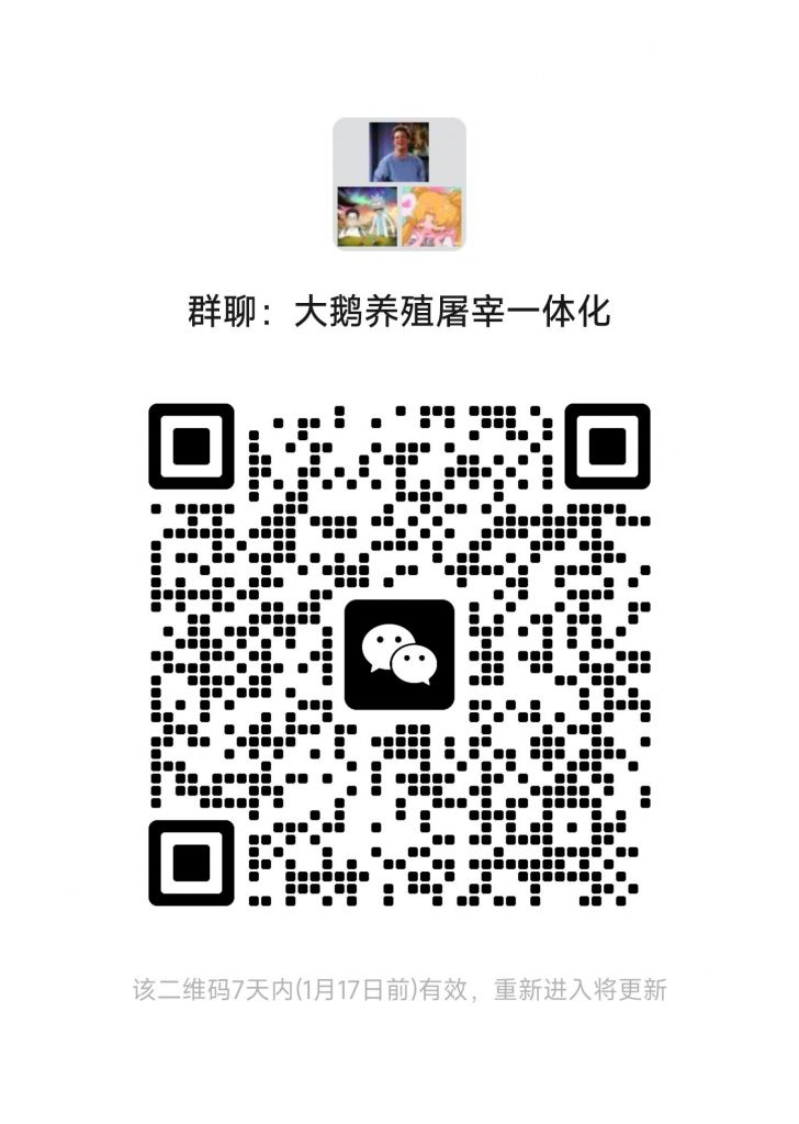 萌新组队(vx群 NGA玩家社区