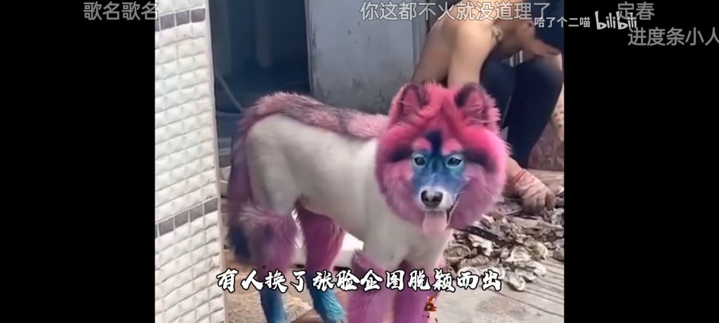 23333333333 NGA玩家社区