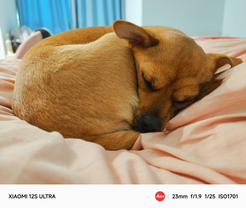 小米13系列，对拍照需求不是特别大的有必要等13u吗？ NGA玩家社区