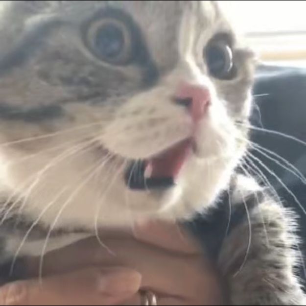 [氵一贴]水一下，感觉p8s好难 NGA玩家社区