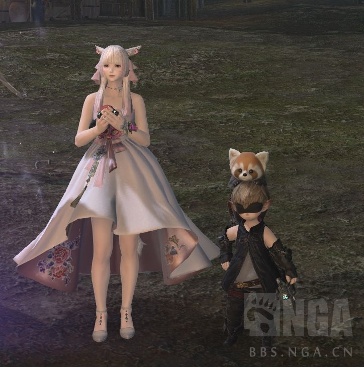 [游戏安利] 玩了FF14才发现FF14的游戏体验跟WOW这么不一样啊。。。还挺好玩的 NGA玩家社区